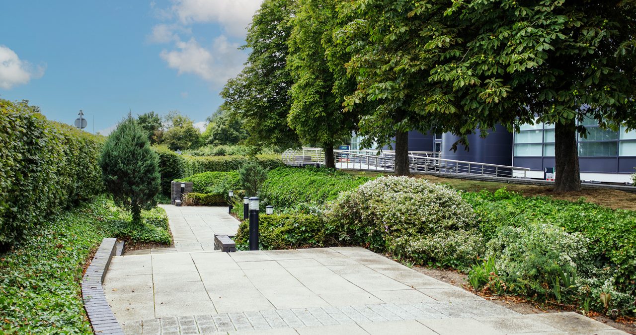 Mindful | Imperium Reading